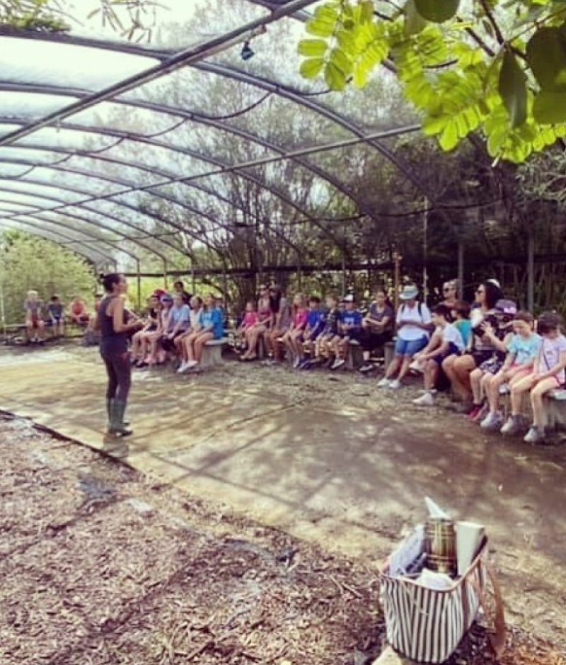 Little Farm Miami Petting zoo, ponies and childrens parties Broward FL