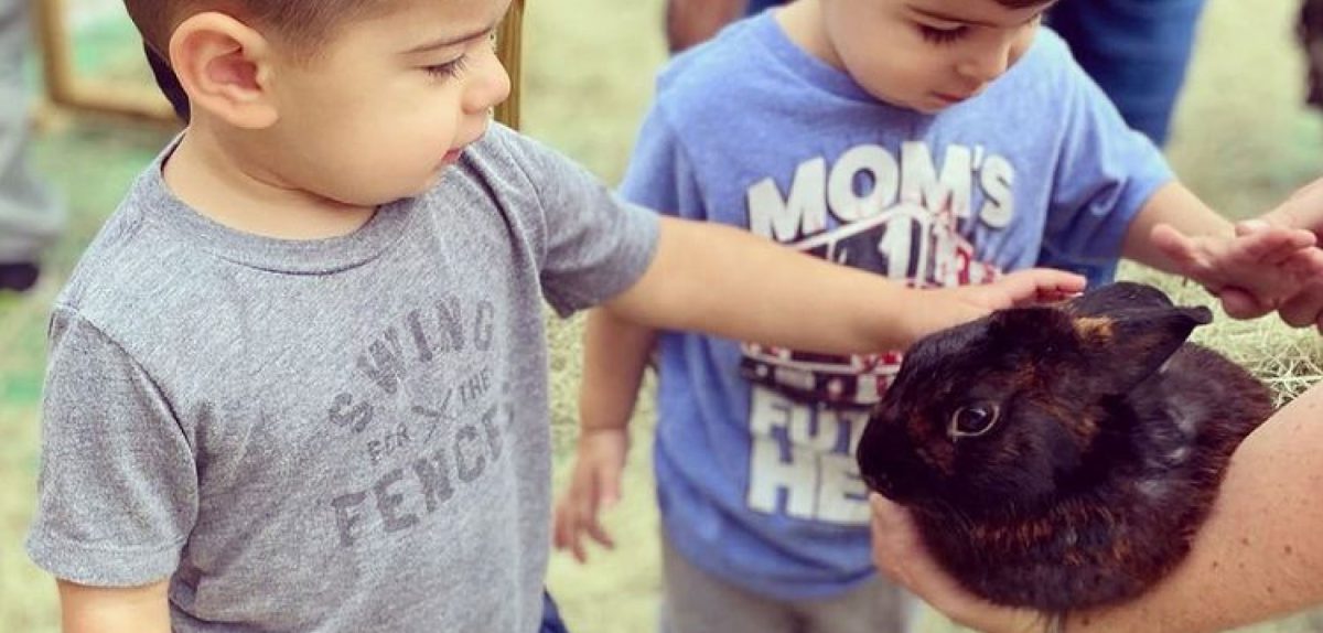 Little Farm Miami Petting zoo, ponies and childrens parties Broward FL