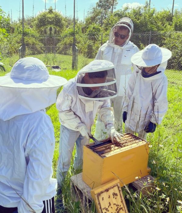 Beekeeping Workshop - The Little Farm Miami