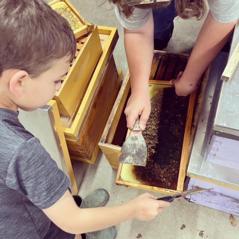 Apiary - The Little Farm Miami