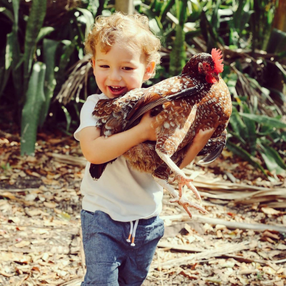 Visitor Info - The Little Farm Miami