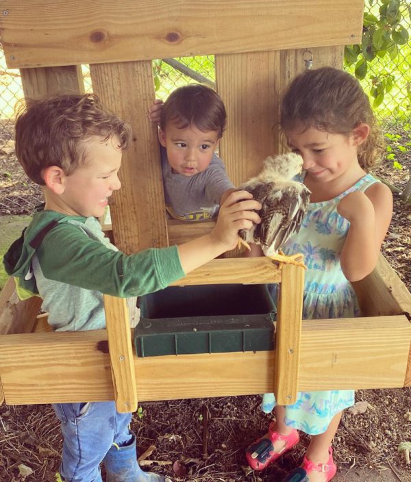 About Us - The Little Farm Miami