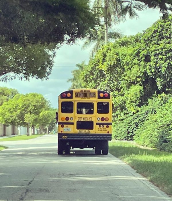 School Field Trips - The Little Farm Miami